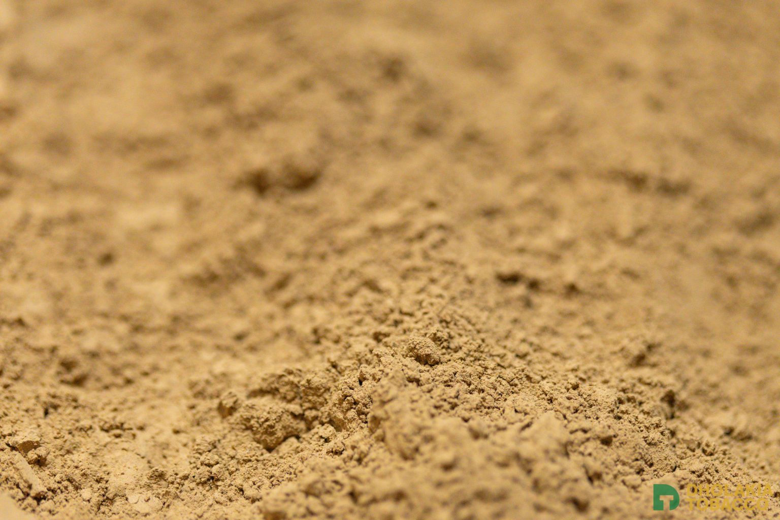 Snuff - Dholakia Tobacco